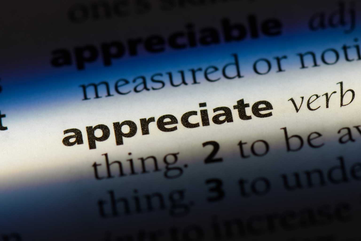 appreciateの意味と使い方｜発音・thankとの違いや11例文 | マイスキ英語